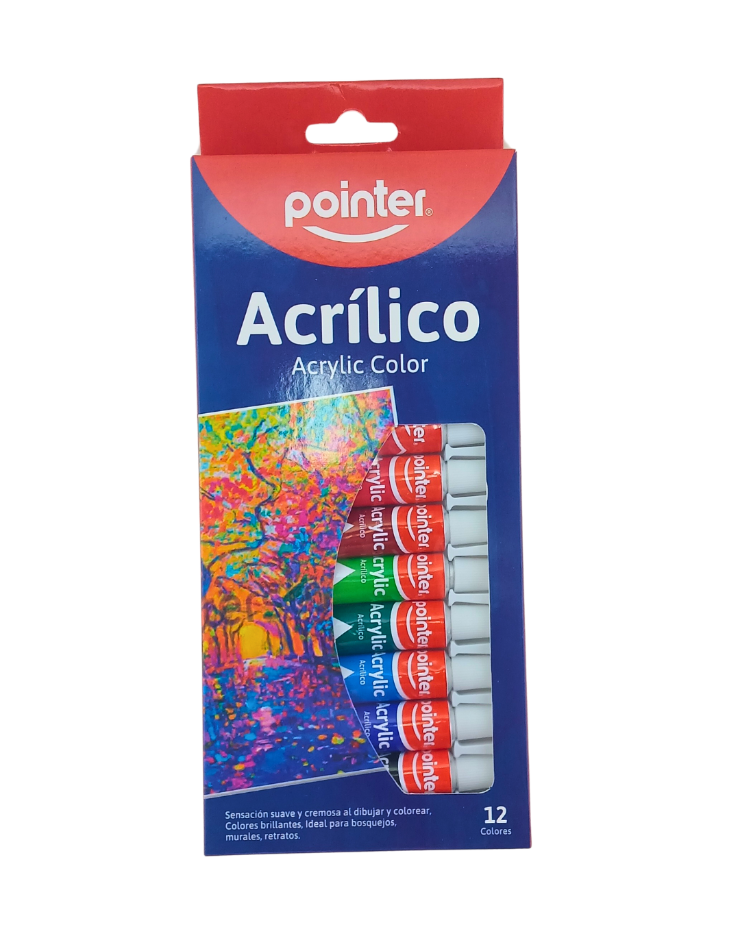 Pintura Acrílica - Set de 12 (12 ml) - Pointer